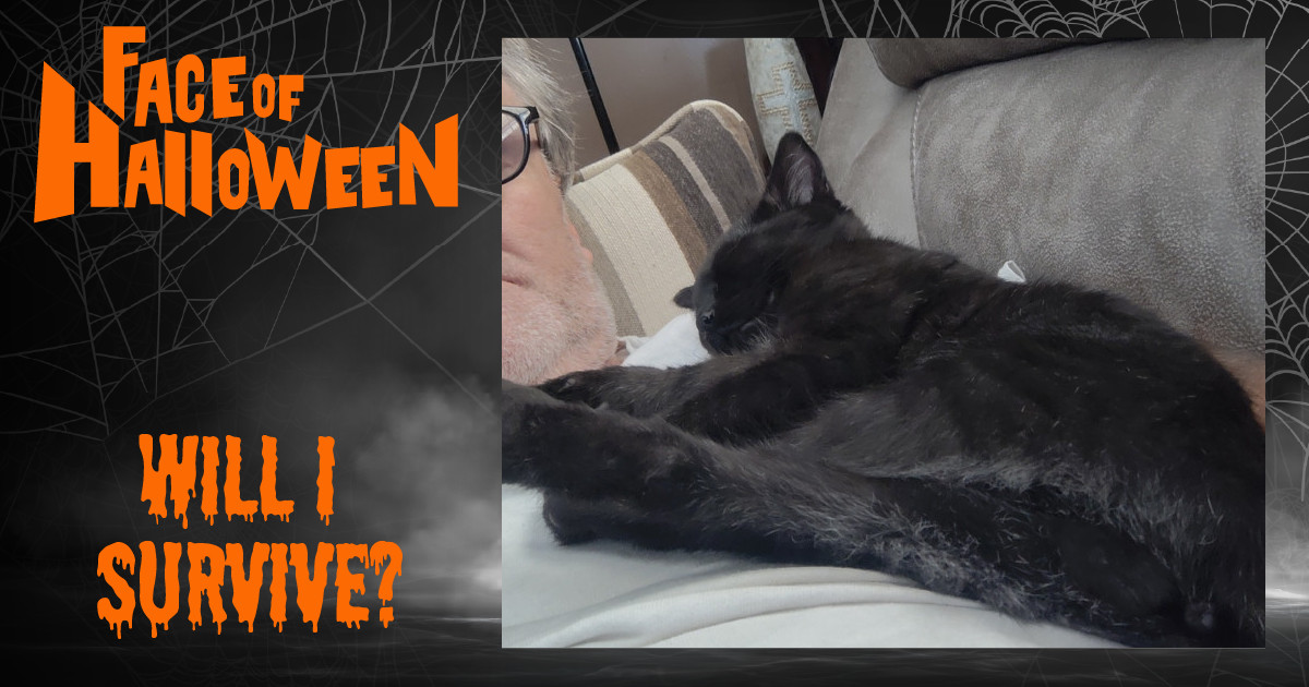 Jeff Byrd | Face of Halloween presented by Jamie Lee Curtis